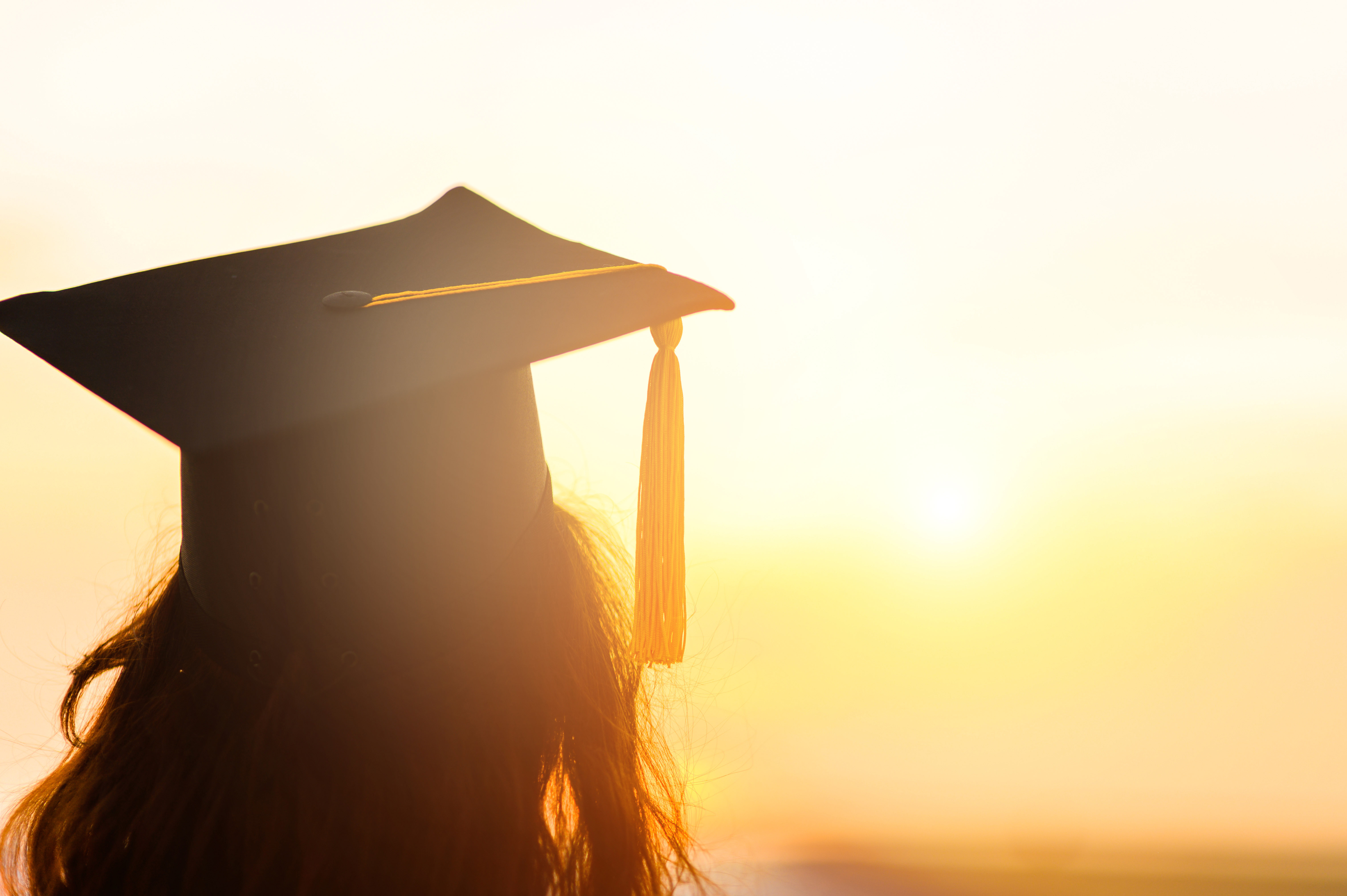 Wade Institute of Technology